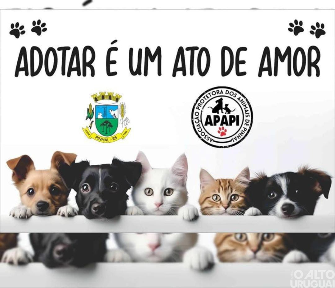 APAPI ALERTA: Proteja os animais de estimação e comunitários durante o ...